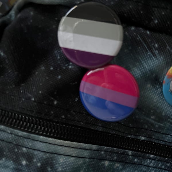 Acespec & Arospec Pride Flags 1.25 Inch Accessories Pins, Magnets ...