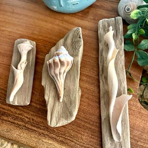 Scallop Shell Tree - Etsy