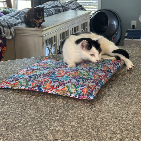 Catnip Filled Cat Mat, in the Garden- 14"x19" - Etsy