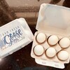 Goose Egg Cartons Color Printed Vintage Themed set of 5 Cartons Holds 6 ...