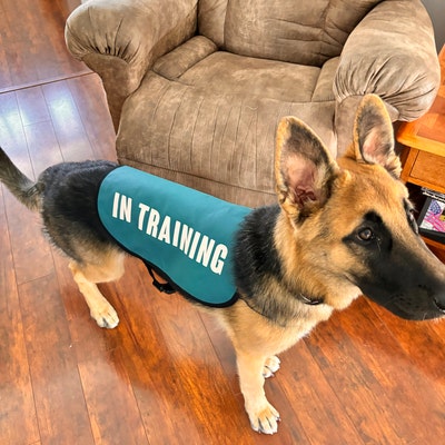 5-pack Adopt Me Dog Jackets Vests Mix & Match - Etsy