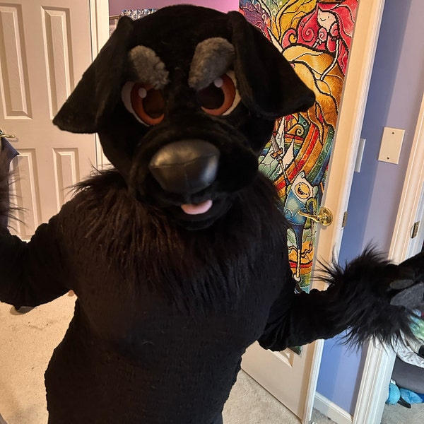 Premade or Custom Black Labrador Dog Fursuit Head, Hand Paws and Tail ...