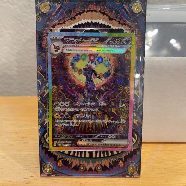 Ace Manga PSA CGC Beckett Extended Art Display Case for Graded OPTCG - Etsy