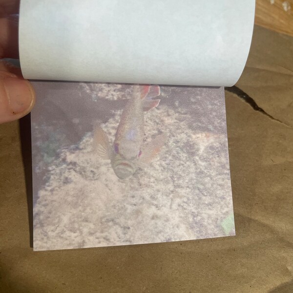 Custom Sticky Notes Business Logo Personalize // Stick Paper, Office ...