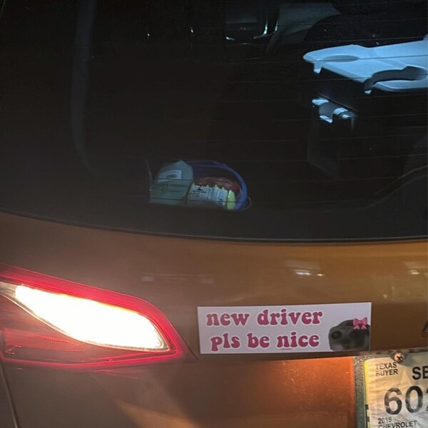 New Driver Pls Be Nice | Bumper Sticker AND Magnet | Funny Meme Sticker ...