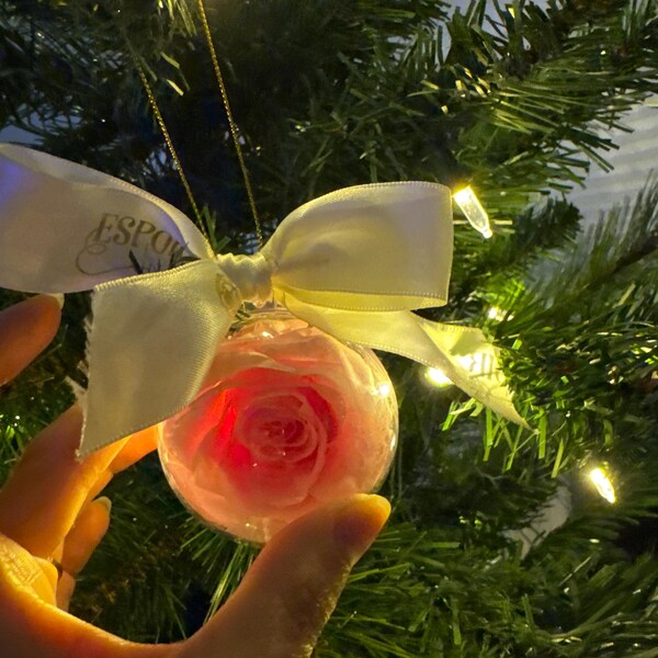 Pack of 16 Long-stem White Preserved Roses | Valentines Day Gift ...