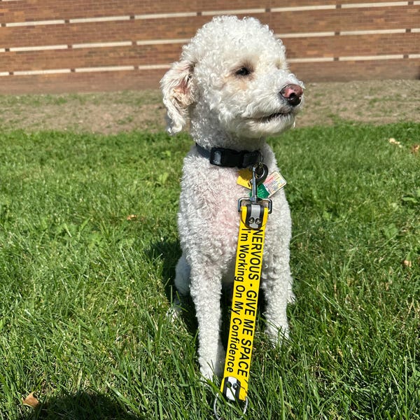 Custom Leash Wrap, Double Sided Warning Sign,durable Dog Leash Sleeve ...