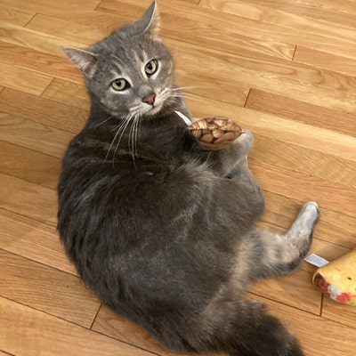 Chinese Takeout Asian Hot Sauce Packet Catnip Cat Toy - Etsy