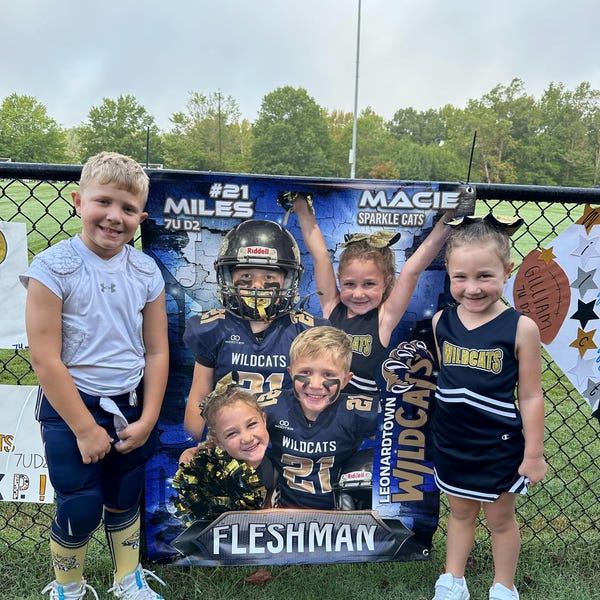 Pink Softball Personalized Sports Banner | Wall Art | Custom Vinyl ...