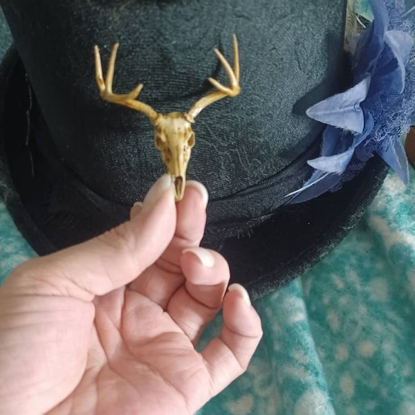 Weißwedelhirsch Schädel mit Geweih - 1:12 realistische Miniatur ...