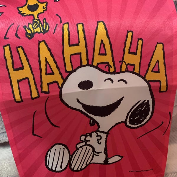 PEANUTS® Welcome Back to School Peanuts & the Gang Doormat-18"x30 ...