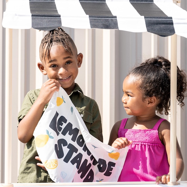 Lemonade Stand Banner | Kids Lemon Stand Decor | Summer Party Decor ...
