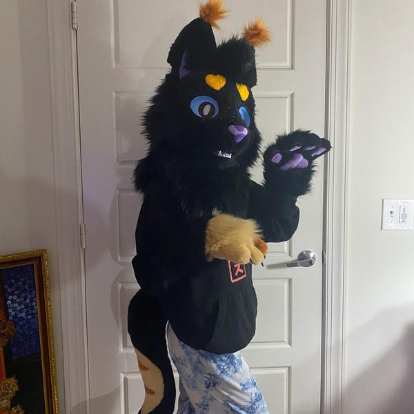 Fullsuit Fursuit Digi Legs Suit - Etsy