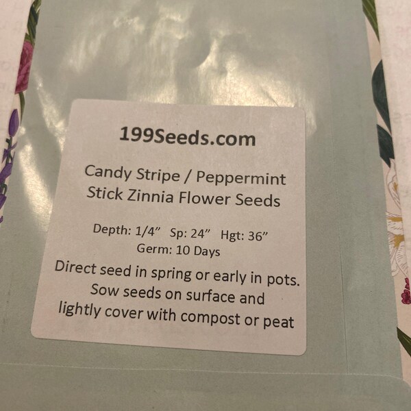 Cup and Saucer Bell Flower Seeds - Etsy