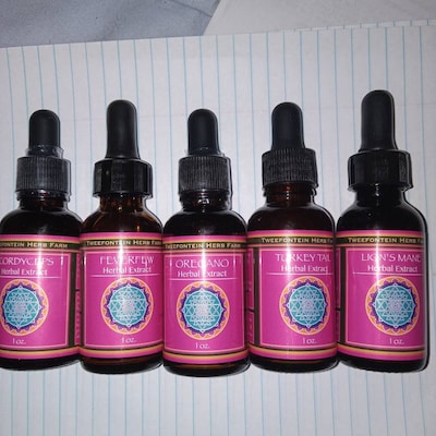 Japanese Knotweed/ Extract // Organic 1 Oz. - Etsy