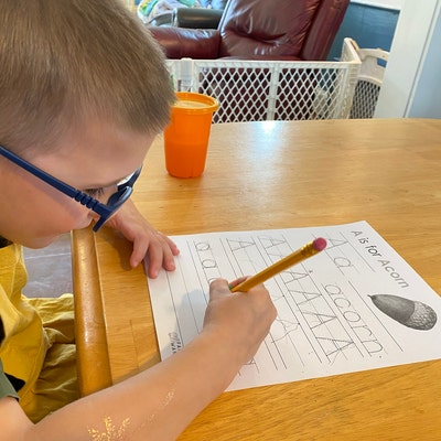 North American Desert Biome Printables Digital Download Exploring ...