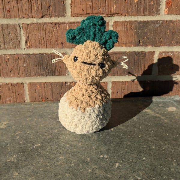 No Sew Cactus Pop-up Crochet Pattern Amigurumi Plant Pattern - Etsy