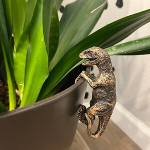 Peter Rabbit Pot Buddy Pot Hanger Beatrix Potter Gift | Etsy