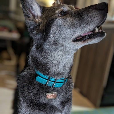 Large Dog Tag Personalized Pet ID Tag With Hand Stamped and Engraved ...