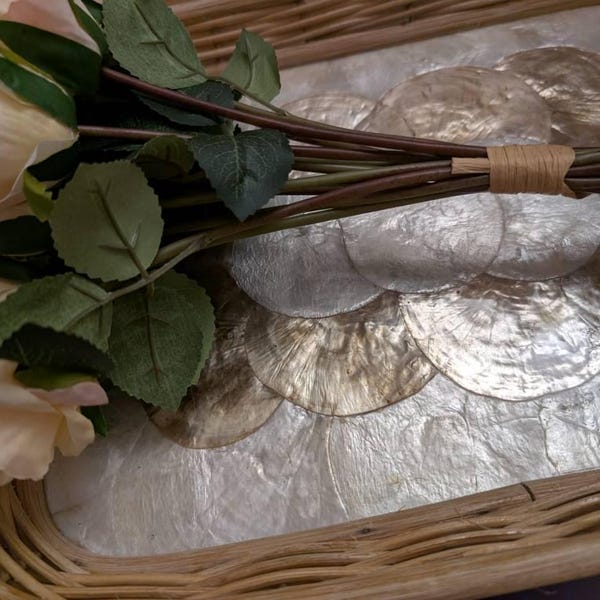 Max Conlon Original Aboriginal Art "turtles Laying Eggs" - Etsy