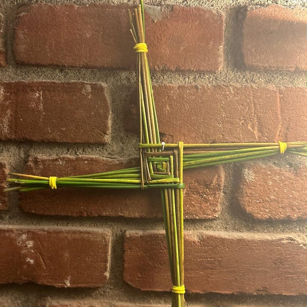 Devil Pod / Bat Nut / Water Caltrop /trapa Bicornis - Protective Amulet ...