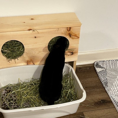 Small Vertical EZ Entry Hop Box: Rabbit Bunny Easy Entry Hay Feeder and ...