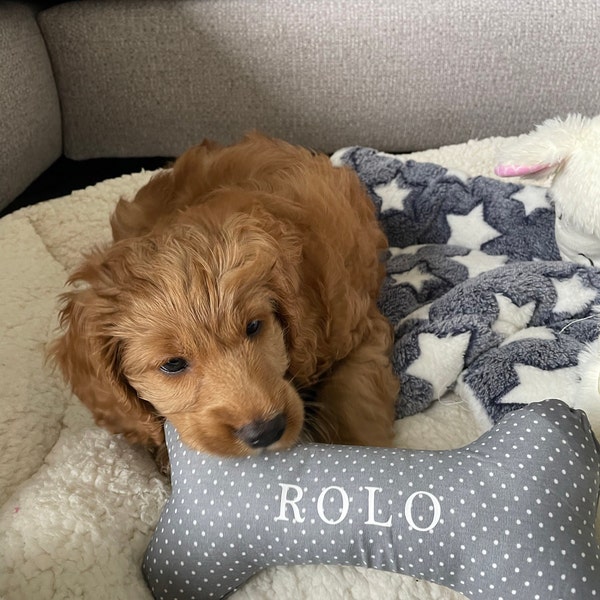 Personalised Birthday Dog Gift Box Dog Toys Dog Treats Birthday Treats ...