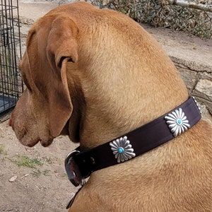 Tantalizing Turquoise Collar - Etsy