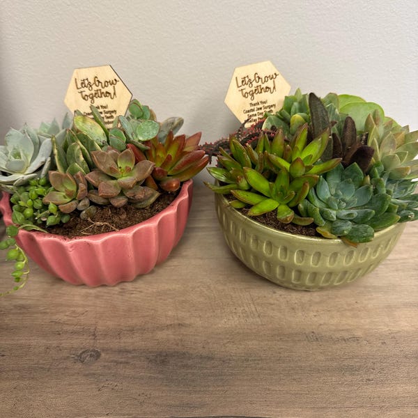 Suc-cess You Did It Custom Graduation Grad Plant Stick Gift Ideas ...