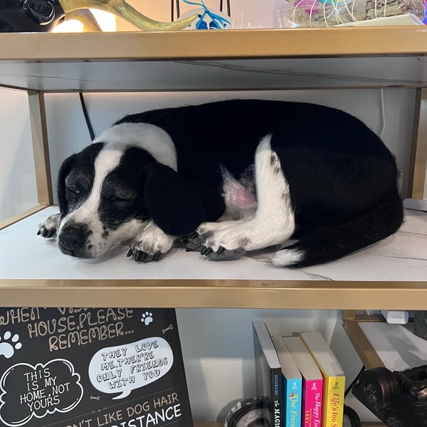 Set of Black Spike Bowls, Handmade Ceramic Conker Bowls, Modern Pottery ...
