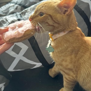 Retro Checkered Cat Collar With Bell, Colorful Male Cat Breakaway ...