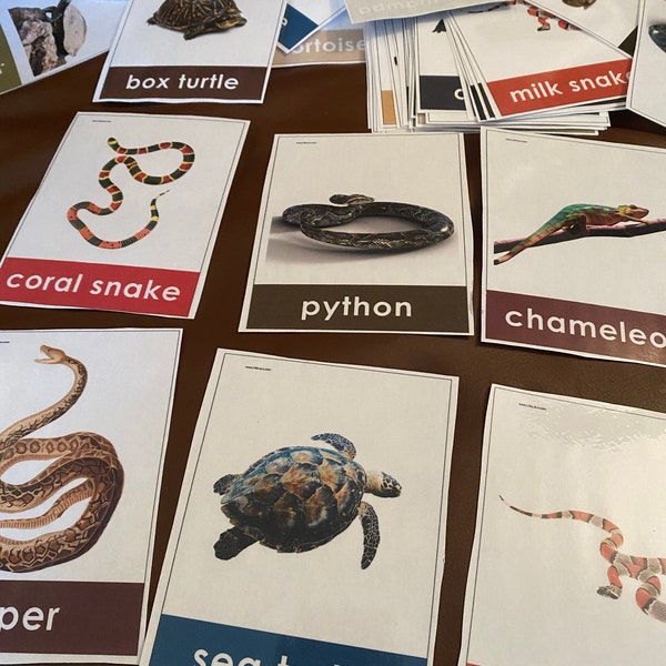 Greater Than, Less Than, Equal to (20 Cards)- Flashcards ...