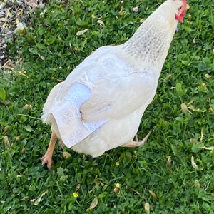 Adorable Standard Hen Dress Saddle Picture Perfect Protection for ...