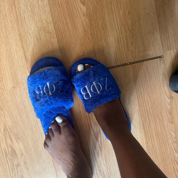 Zeta Phi Beta Finer Blue Plush Embroidered Women's Slipper Slides - Etsy