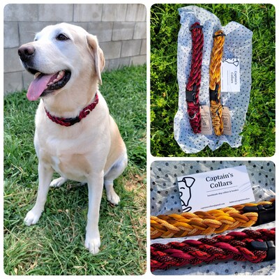 Custom Paracord Dog Leash Round Braid Rope Lead - Etsy