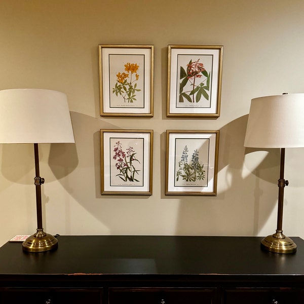 Gold Framed Botanical Prints, Set of 4, Vintage Original Wild Flower ...
