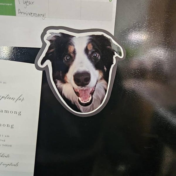 Ozark Quotes, Ozark Magnet, Ozark Sticker, Ruth Langmore, Marty Byrde ...