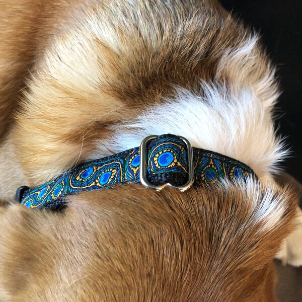 Chili Peppers Ribbon Dog Collar - Etsy