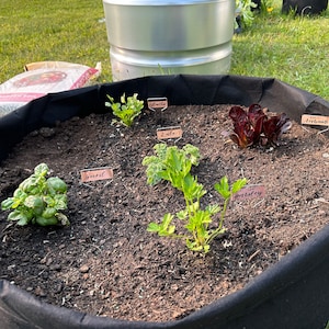 Modern Boho Literacy Center Rotation Cards, Reading Centers, Pocket ...