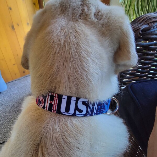 Poppy Flowers Adjustable Dog Collar, Poppy, Dog Collar, Dog Collars ...