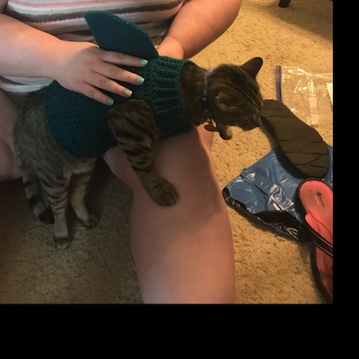 Cat Shark Sweater, Cat Shark Outfit, Cat Costume, Cat Sweater, Pet ...