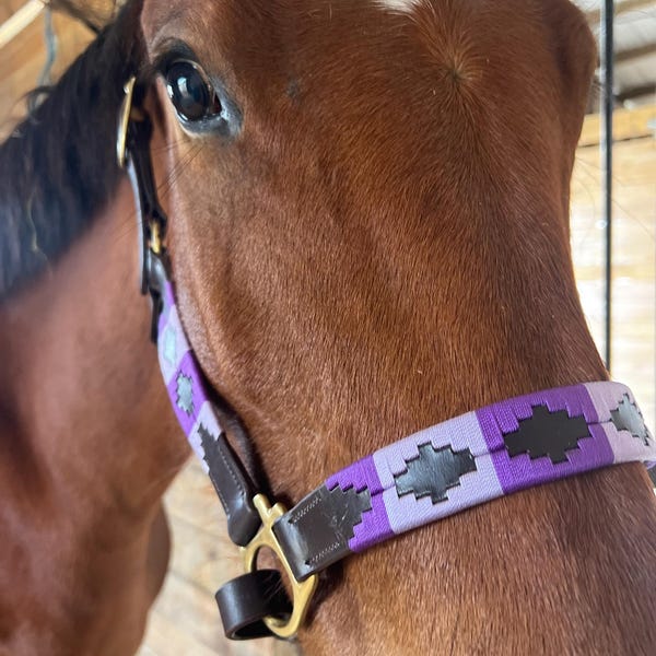 Anatomical Padded Leather Halter - Etsy