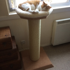 BIGGEST and STRONGEST Cat Post Heavy Base Custom Cat - Etsy