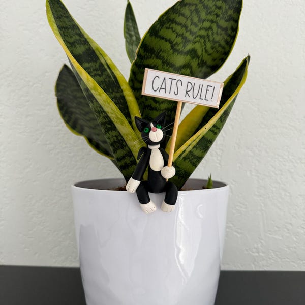 Cat Pot Sitter / Tuxedo Cat / Flower Pot Sitter / Cat Pot Hugger / Cat ...
