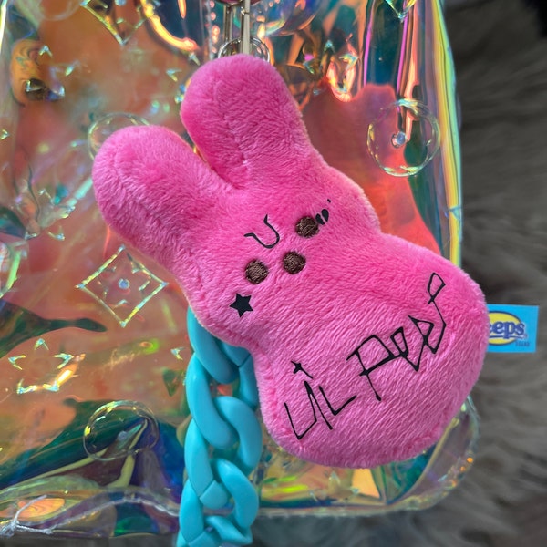 Lil Peep OR Lil Tracy 4-8 Inch Tatted Peep Plushies - Etsy