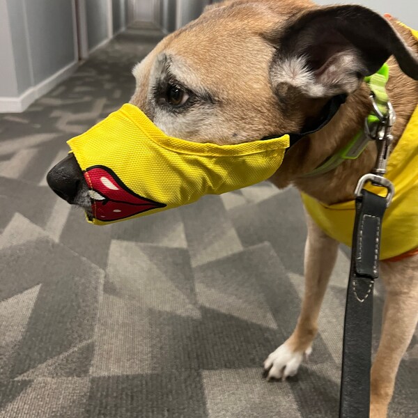 Premium Aluminum Rivet Tags with Rivets Custom Personalized Engraving ...