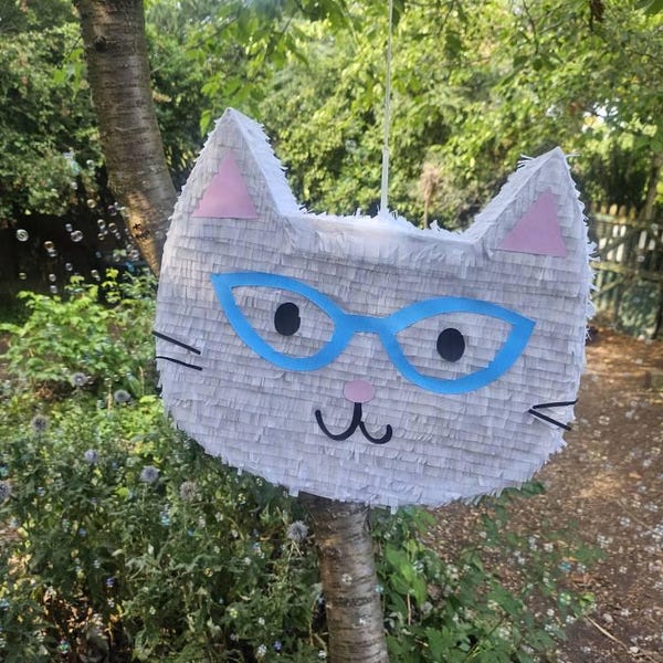 Bluey Pinata - Etsy UK