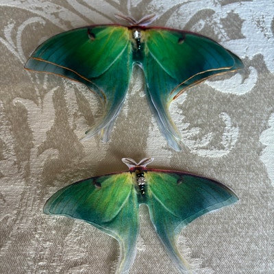Silk Luna Moth Extra Large Lapel Pin Brooch 3d Three-layered Wings Faux ...