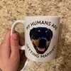 Ms. Rachel Inspired 15oz Mug - Etsy