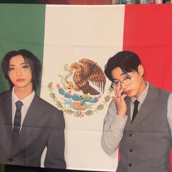 AESPA Karina America Flag Banner, Aespa Karina My World Kpop Flag ...